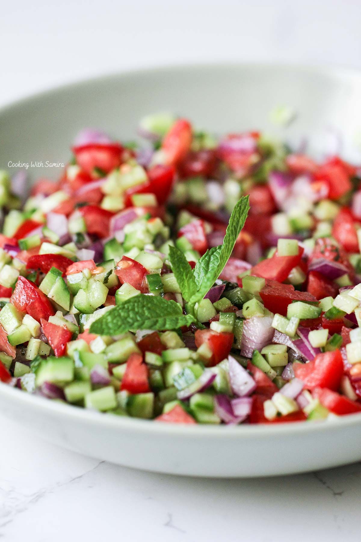 Salad Shirazi Recipe (Persian Style)